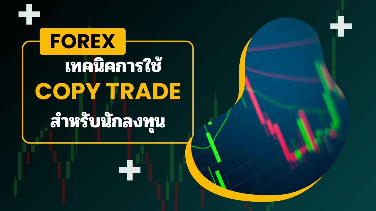 เทคนิคการใช้ copy trade สำหรับนักลงทุน Forex ที่ไม่ชอบวิเคราะห์เอง